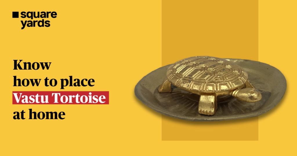Placing tortoise as per Vastu Shastra in your home