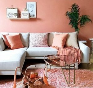 20 Top Peach Colour Combination For Your Modern Home