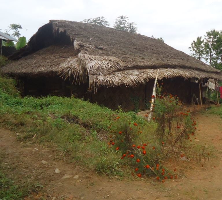 𝐀𝐬𝐬𝐚𝐦 𝐓𝐲𝐩𝐞 𝐇𝐨𝐮𝐬𝐞 𝐃𝐞𝐬𝐢𝐠𝐧: Plan, Perfect Designs and Layouts